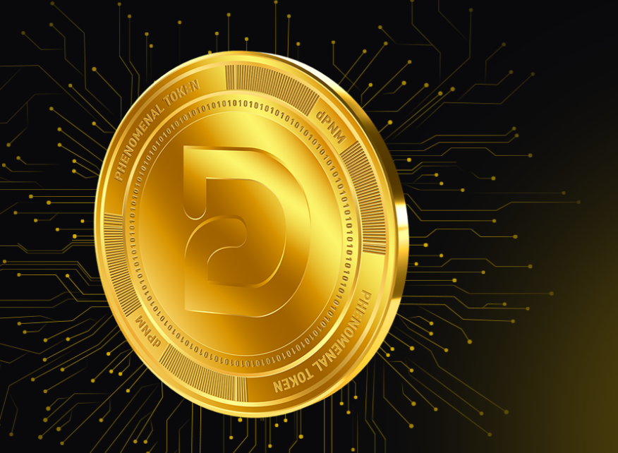 Обзор проекта dPNM